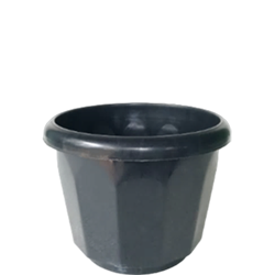 1562-Mal Pot 02 (S) – Romnak